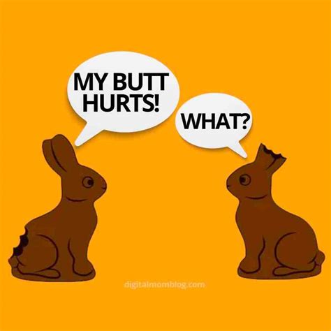 15 Easter Bunny Memes That Will Make Your Holiday Egg Stra Hilarious