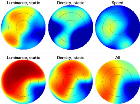 Differences In Sensitivity Across Types Of Visual Cues For Patient Cs