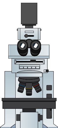 Optical Dark Field Microscope Front Figure Science Figures