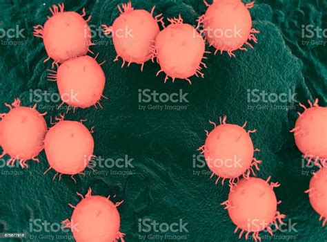 표면에 박테리아의 과학 그림입니다 3 차원 일러스트 레이 션 0명에 대한 스톡 사진 및 기타 이미지 0명 남아프리카공화국 미생물학 Istock