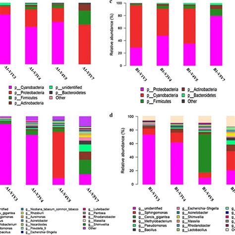 Heatmap Of Predicted Functional Pathways Assigned To Interesting Genes Download Scientific