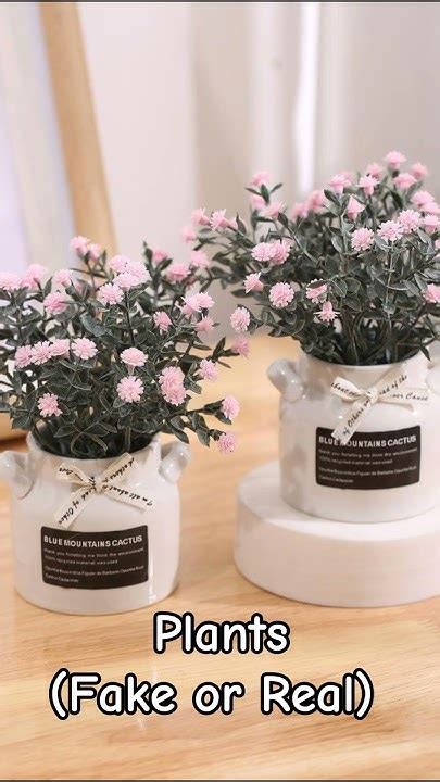 Tips For Aesthetic Table 🌺 Aesthetic Viral Aestheticgirl Fypシ Youtube