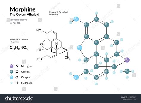 622 Morphine Structure Bilder Arkivfotografier Og Vektorer Shutterstock