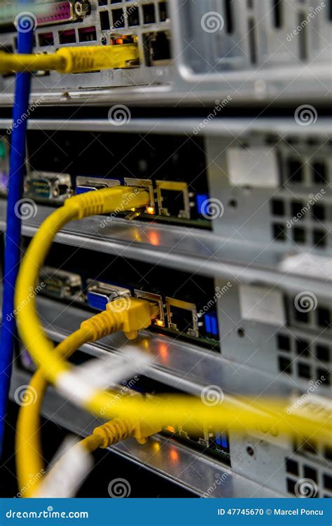 Network Switch And Ethernet Cables Stock Photo Image Of Connector Plug