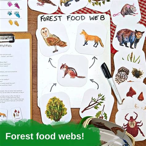 Forest Ecology Unit Huge Collection Of Printable Ecosystem Learning