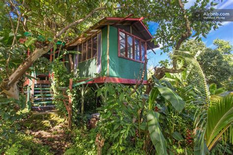 Tree Tops Treehouse in Hana Maui in Hāna Tree house Hawaii homes Treehouse cabins