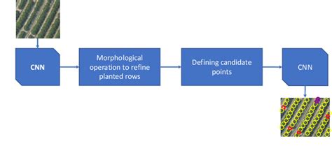 Figure 2 From Automatic Citrus Tree Detection From Uav Images Based On Convolutional Neural