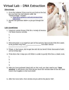 Virtual Lab DNA Extraction By Zegans Science Adventures TPT