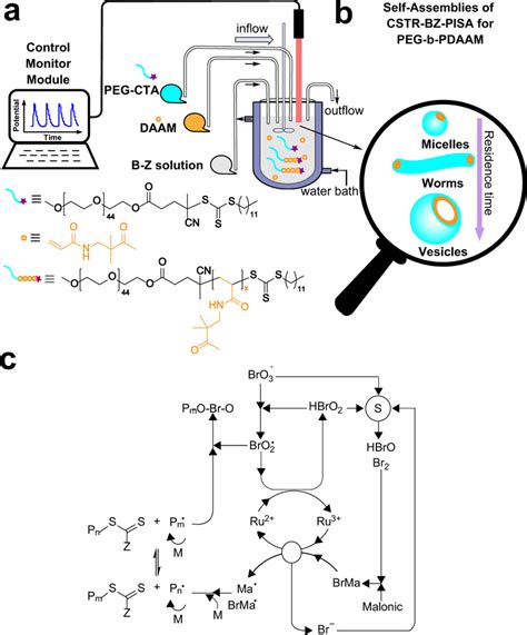 Overview Schematic Representation Of The Cstr Setup Key Reactants