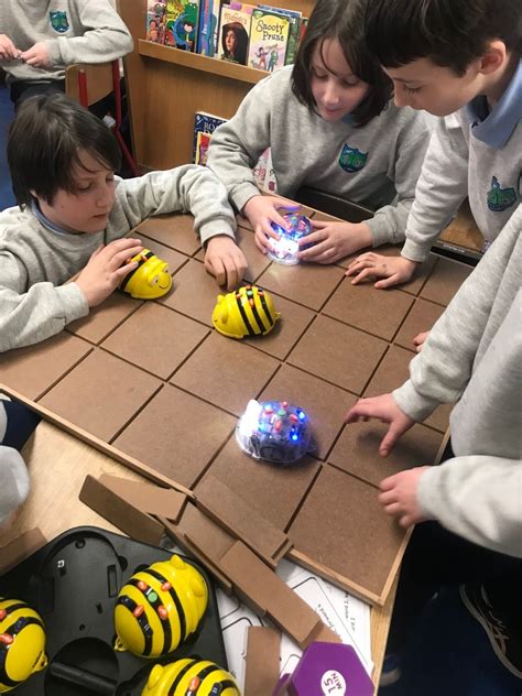 Bee Bots🐝🐝🐝🐝🐝🐝🐝🐝