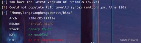 PWN 爆破Canary pwn brop canary CSDN博客