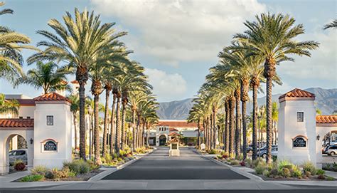 Isabel Hampton Robb Ana Founder Working Nurse