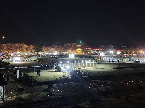 백제왕궁 오색찬란 야경에 취하다⋯익산문화재야행 ‘구름 인파