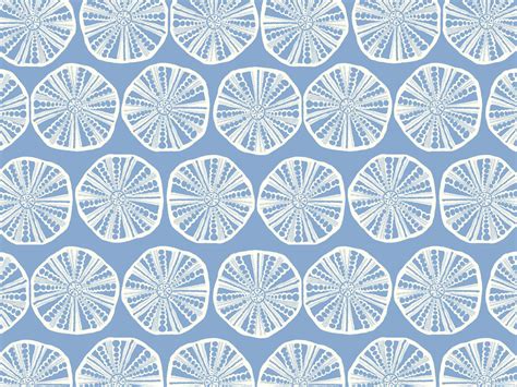 Download Blue Coastal Sand Dollar Pattern Wallpaper