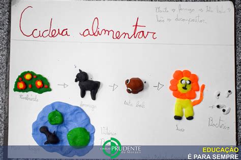 Trabalho Cadeia Alimentar Ano Librain