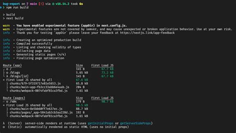 Dynamic Routes Under The Appdir Do Not Work Only At Build Time · Issue