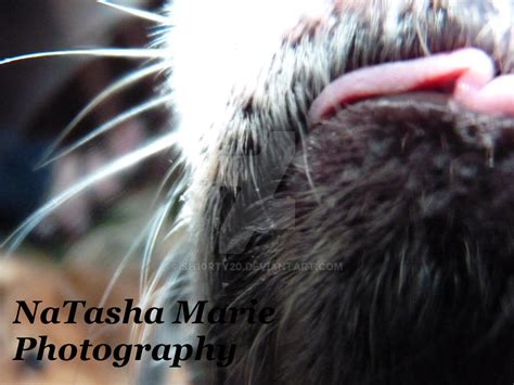 Ruby Doo By Sh10rty20 On Deviantart