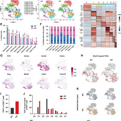 High Throughput Single Cell Rna Seq Of Tumor Infiltrating Cd8 T Cells