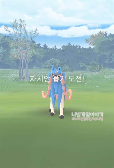 포켓몬고 전설레이드 자시안 약점 상성 And 졸업스킬