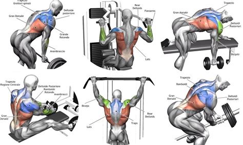 Ejercicios De Espalda Para Hacer En El Gym Los 6 Mejores Ejercicios