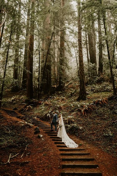 Dane And Danielle S Blue Ridge Georgia Wedding Artofit