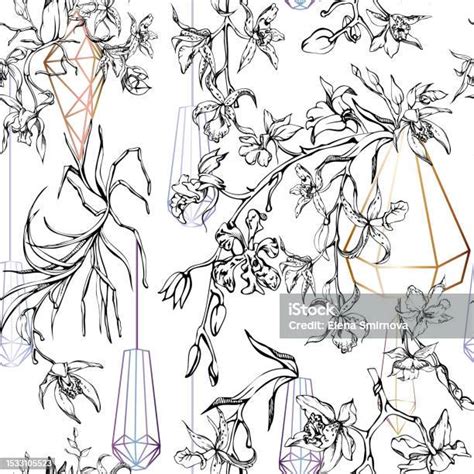 손으로 그린 벡터 잉크 난초 꽃과 가지 단색 자세한 개요 크리스탈 형태의 매끄러운 패턴 흰색 배경에 격리 벽 예술 결혼식 인쇄 문신 표지 카드 0명에 대한 스톡 벡터 아트