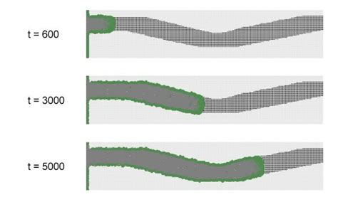 Activation Of Cell Agents By An Exogenous Signal In This Experiment A Download Scientific