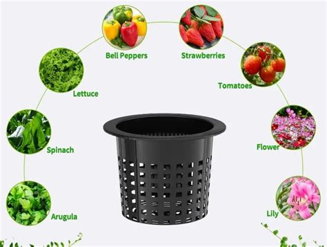 5 Gallon Rdwc Hydroponic System Bucket With Water Chiller Buy Rdwc Hydroponic System
