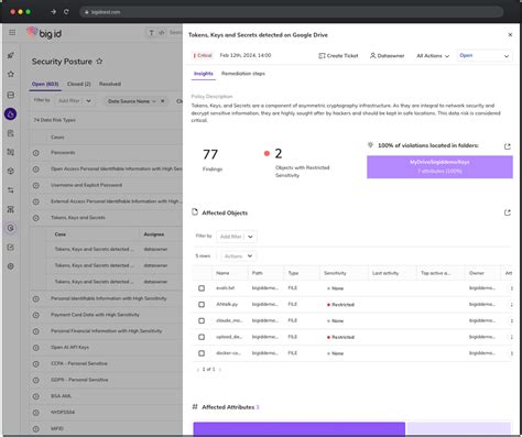 Bigid For Data Security