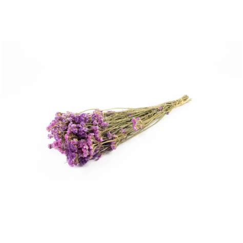 Limonium Séché Brinja Bouquet Lilas 50 65cm Ø18cm