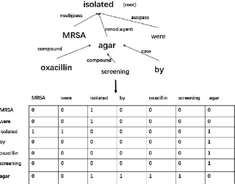 Figure 3 From Bacteria Biotope Relation Extraction Via Lexical Chains And Dependency Graphs