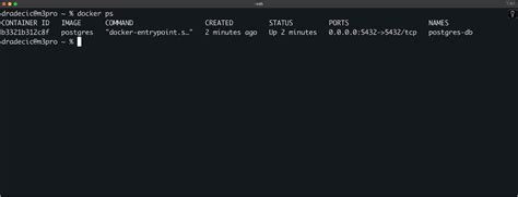 Postgresql No Docker Um Guia Passo A Passo Para Iniciantes Datacamp