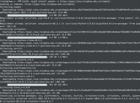Pipenv使用教程（非常详细） C语言中文网