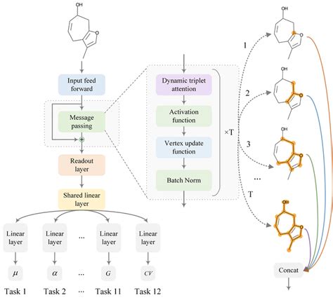 the network architecture of the proposed mdgnn with multitask learning