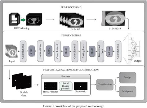 Figure From Identification And Classification Of Lungs Focal Opacity Using CNN Segmentation