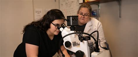 Embryology Lab New York Tech