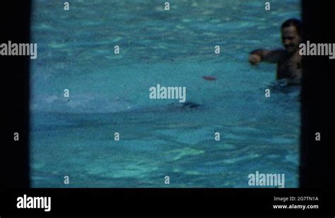 Boy Dive Team Stock Videos And Footage Hd And 4k Video Clips Alamy