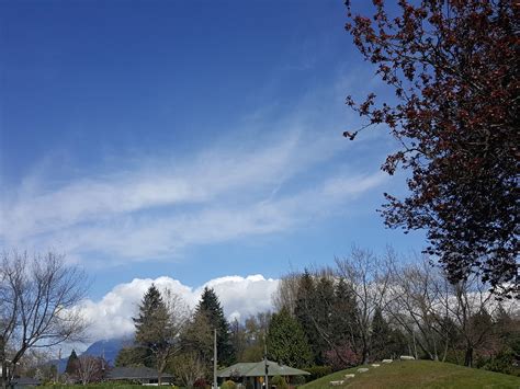 광야의길 눈을 감아도 손에 금방 닿을듯한 뭉게구름 아래에서 오래도록 살고파진다 큰 그늘 드리운 멋드러진 나무 아래에서 그렇게 멋진 하루를 이어가고 싶다 꿈결처럼