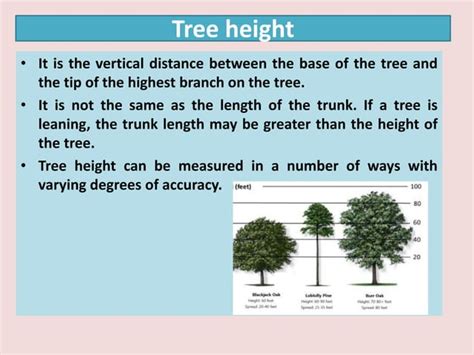 Tree Height Measurement Methods PPTX