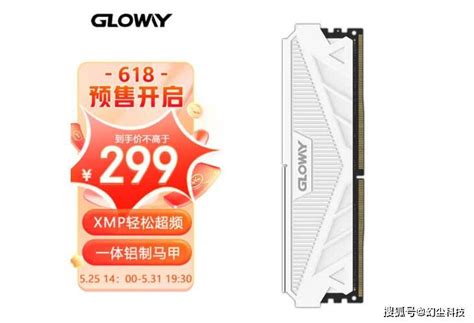 国产品牌被热捧！洋品牌的好日子没了？光威某东d4 32g销量榜第一 搜狐汽车 搜狐网