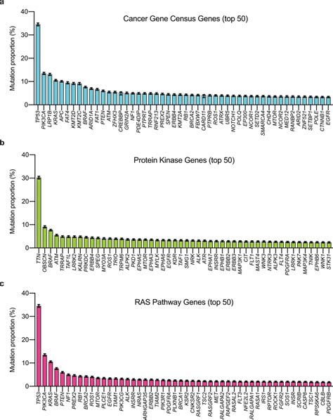 Epidemiologically Weighted Gene Mutation Proportions For Sets Of Genes