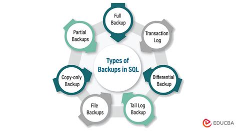 Sql Backup Different Types Of Backups In Sql With Examples