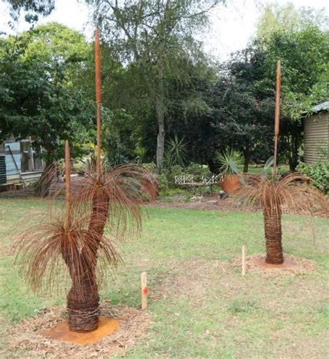 Double Grass Tree Sold Ron Ahl Sculptor And Maker
