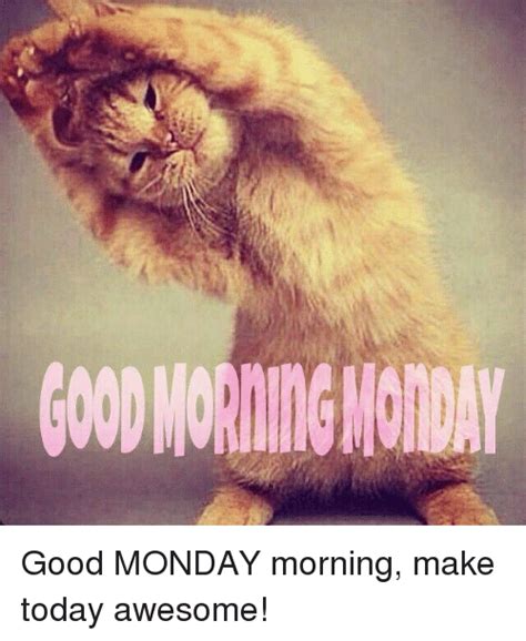 Monday Morning Meme Happy In Market Today
