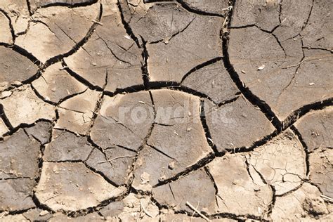 사막화 갈라짐 가뭄 건조함 땅 사진이미지일러스트캘리그라피 자몽 디자인작가