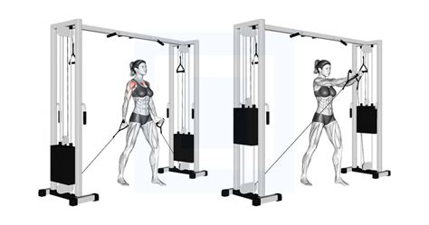 Cable Standing Chest Press Guide Benefits And Form