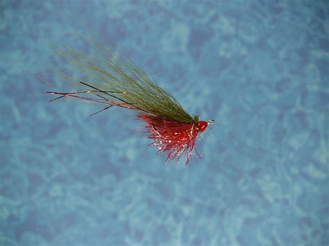 The Best Saltwater Flies You Never Heard Of The Fisherman
