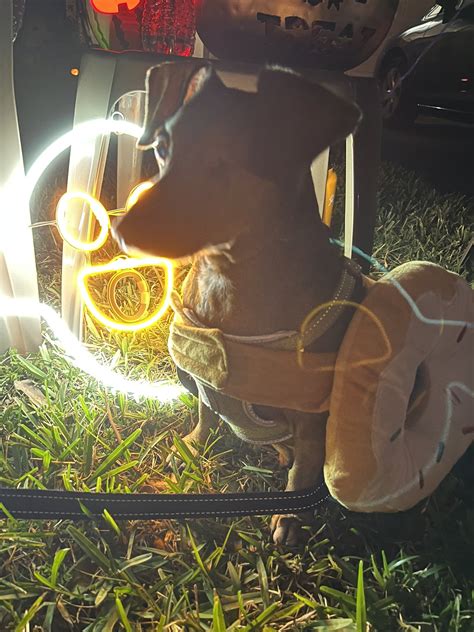 Dsan🔞 On Twitter 🎃🐕🍩 Vj76vnbduh Twitter