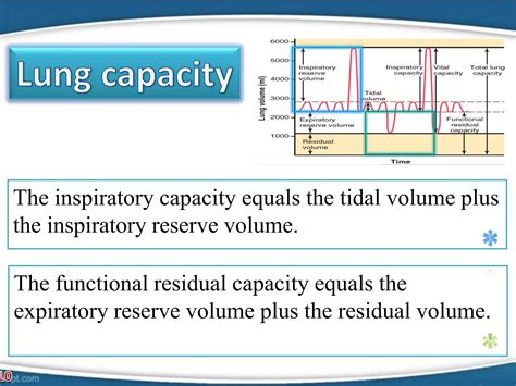 Physiology Of Lung Volumes And Capacities Pdf