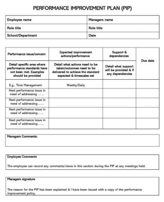 Free Performance Improvement Plan PIP Templates